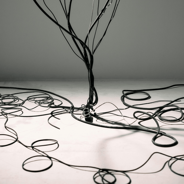 Lymphatic System 101: Body's Natural Drainage System - Cell Squared