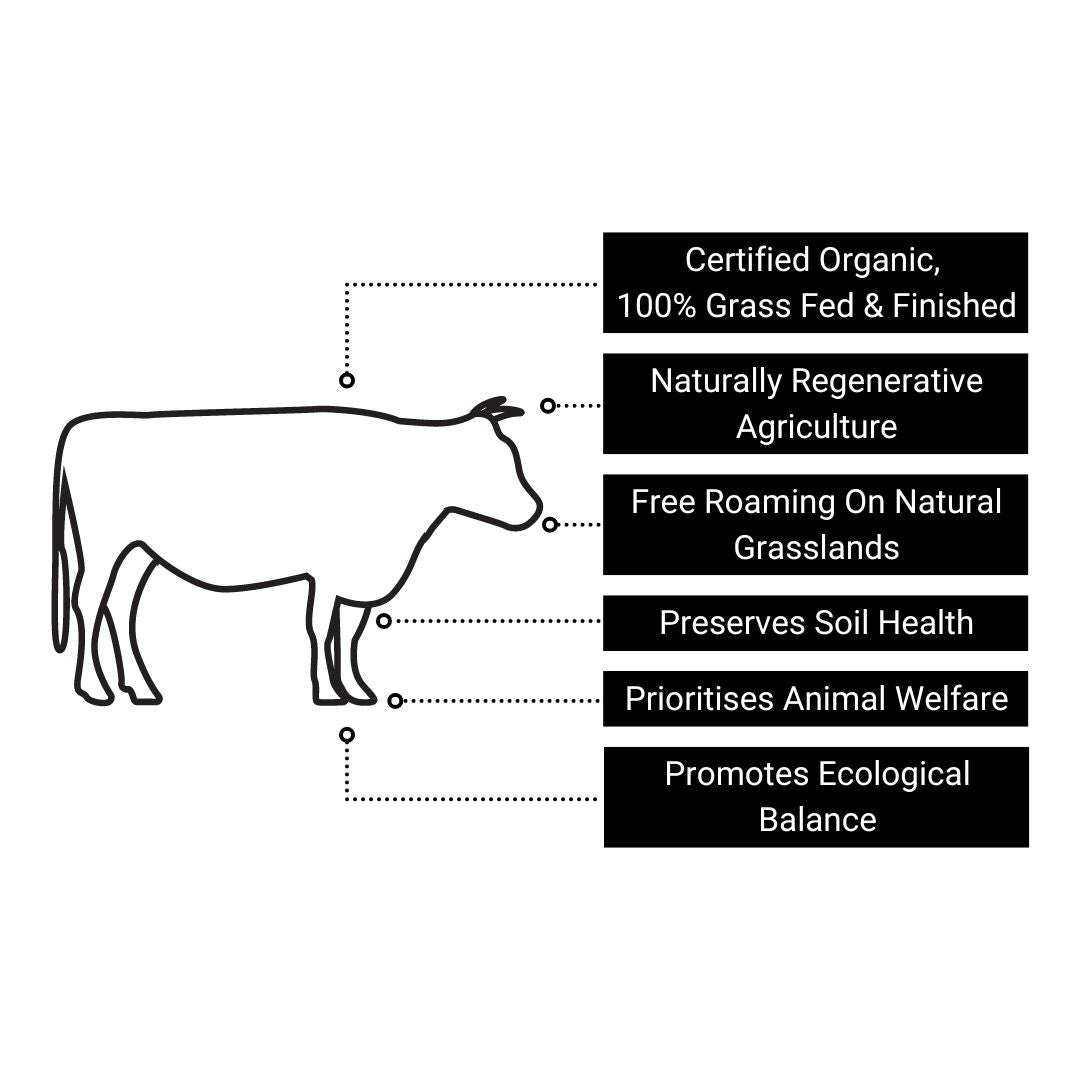 Organic Beef Spleen & Liver Capsules | 160 Capsules - Cell Squared