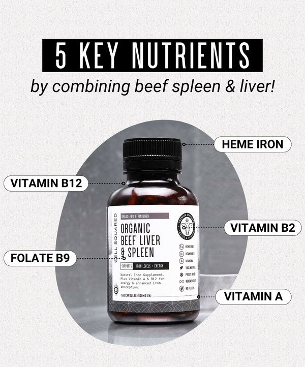 Organic Beef Spleen & Liver Capsules | 160 Capsules - Cell Squared