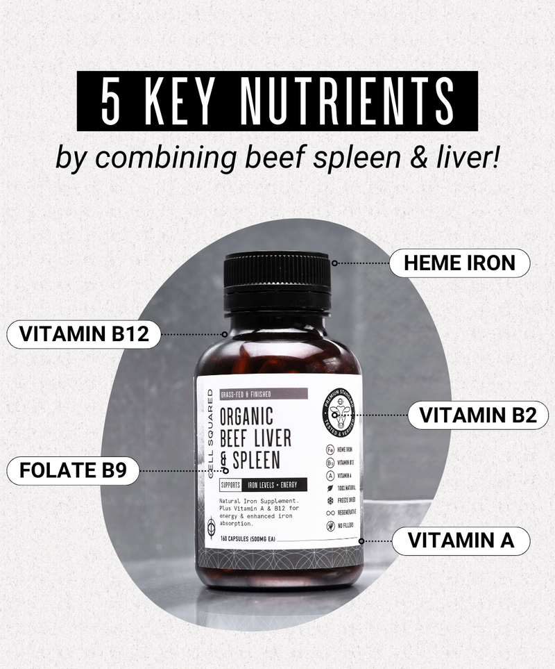 Organic Beef Spleen & Liver Capsules | 160 Capsules - Cell Squared