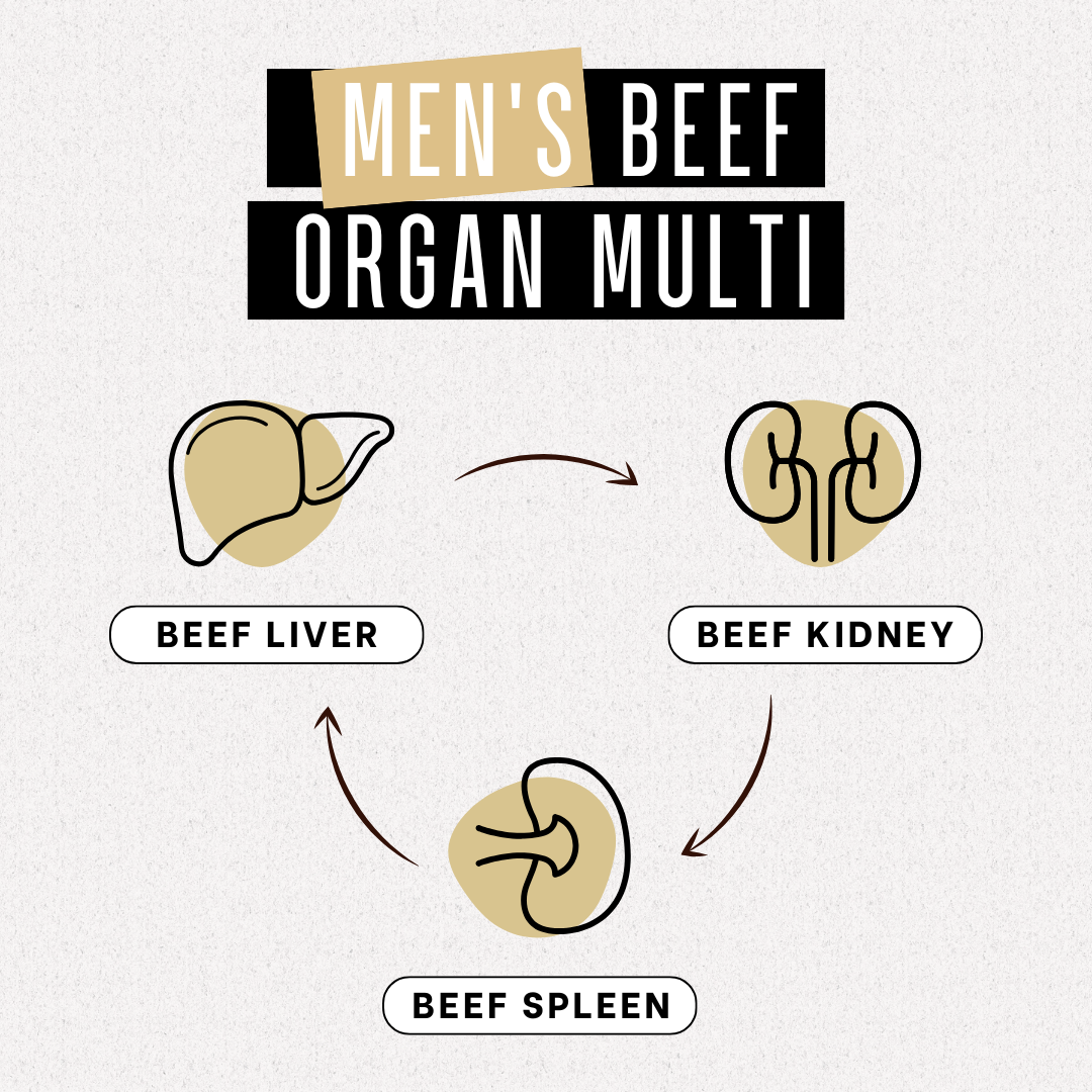 Men's Innate Energy - Beef Multi Organ Capsules | Cell Squared