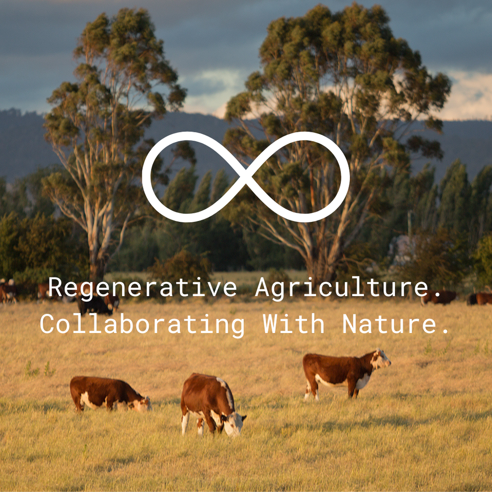 Regenerative Farming | Solis for Life | Cell Squared