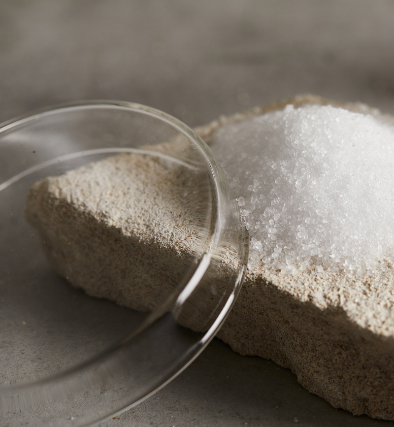 About | Cell Squared Australia