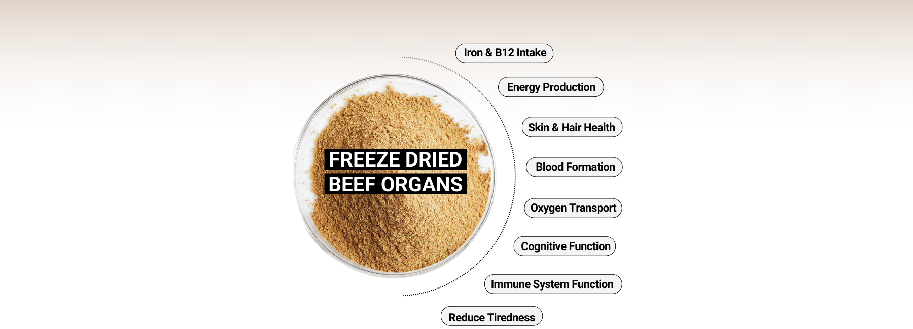 Why Beef Nutrient Dense Organs | Cell Squared Australia