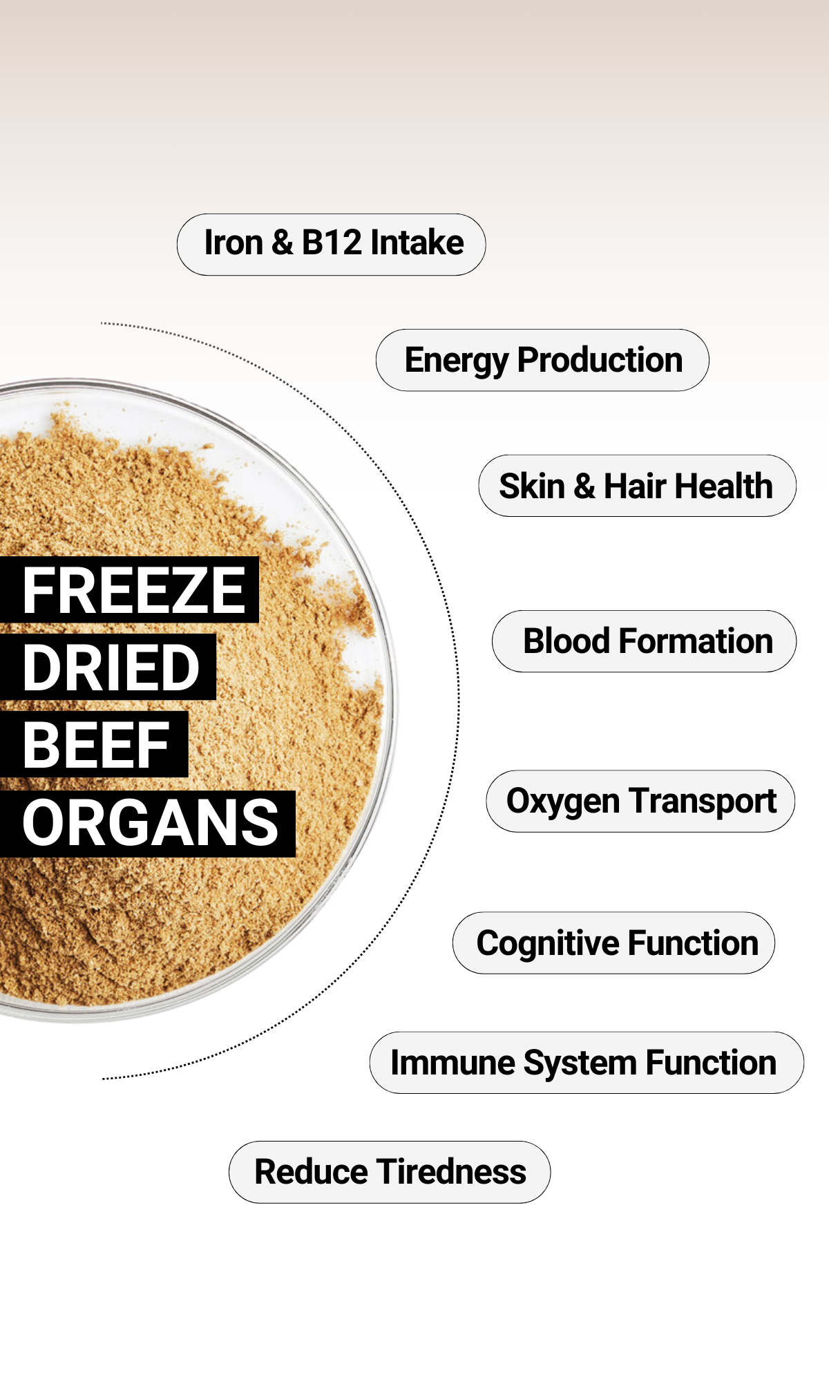Why Beef Nutrient Dense Organs | Cell Squared Australia