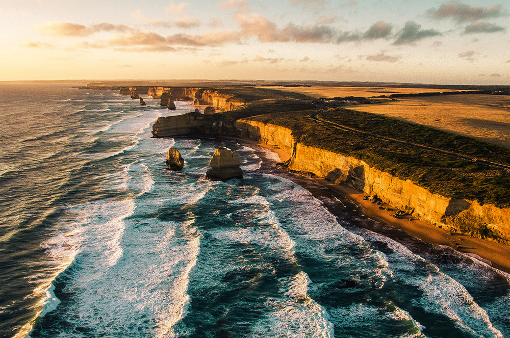 Conscious Consumption | Cell Squared Australia