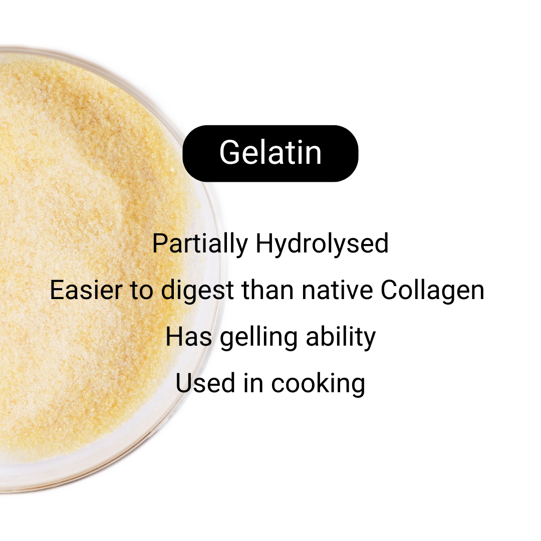 Shop 100% Grass-fed Bovine Beef Collagen Gelatin | Cell Squared