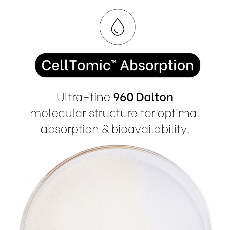 Grass Fed Bovine Beef Collagen Online | Cell Squared Australia